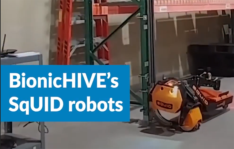 BionicHIVE